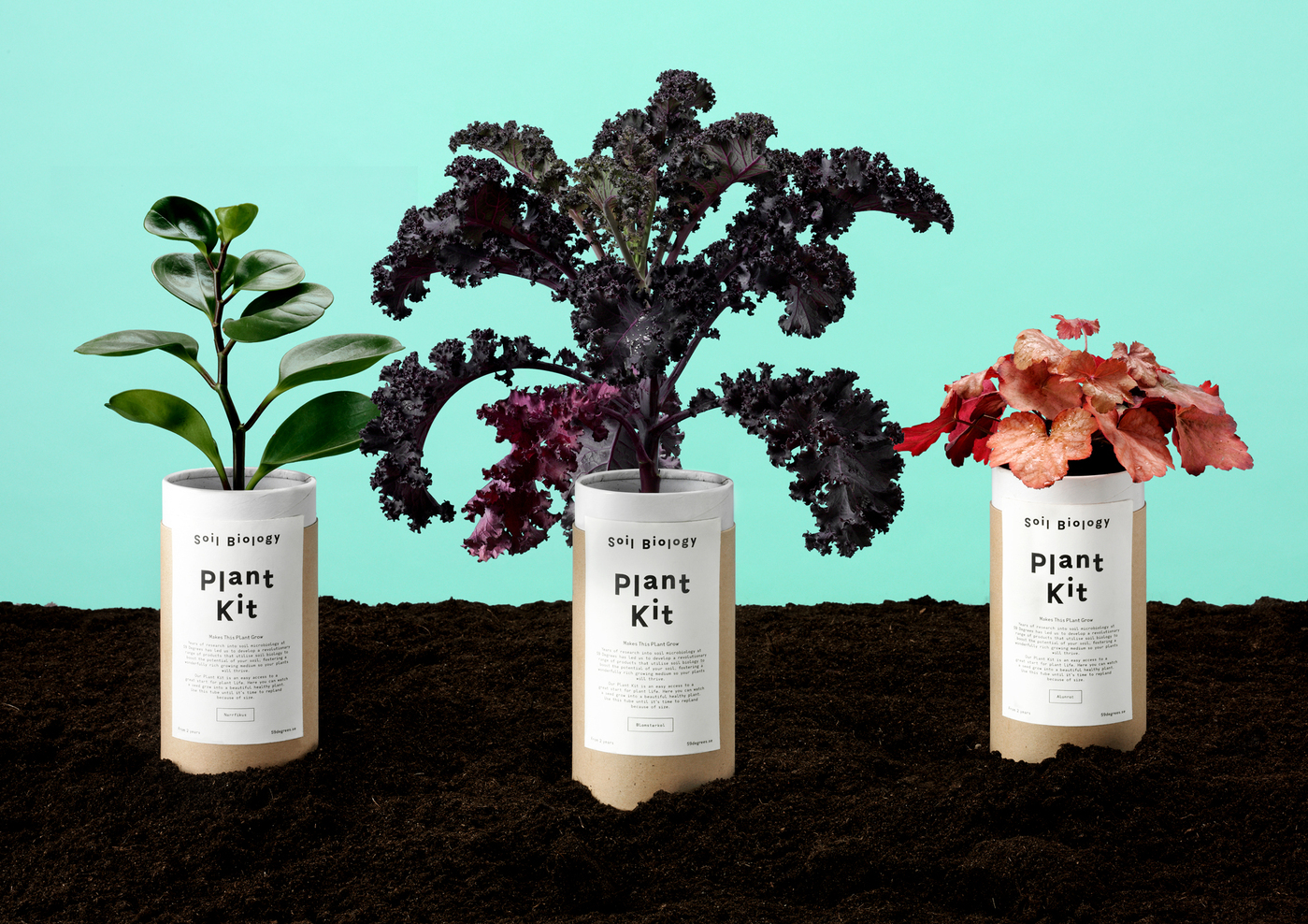 Soil biology - Fonts In Use