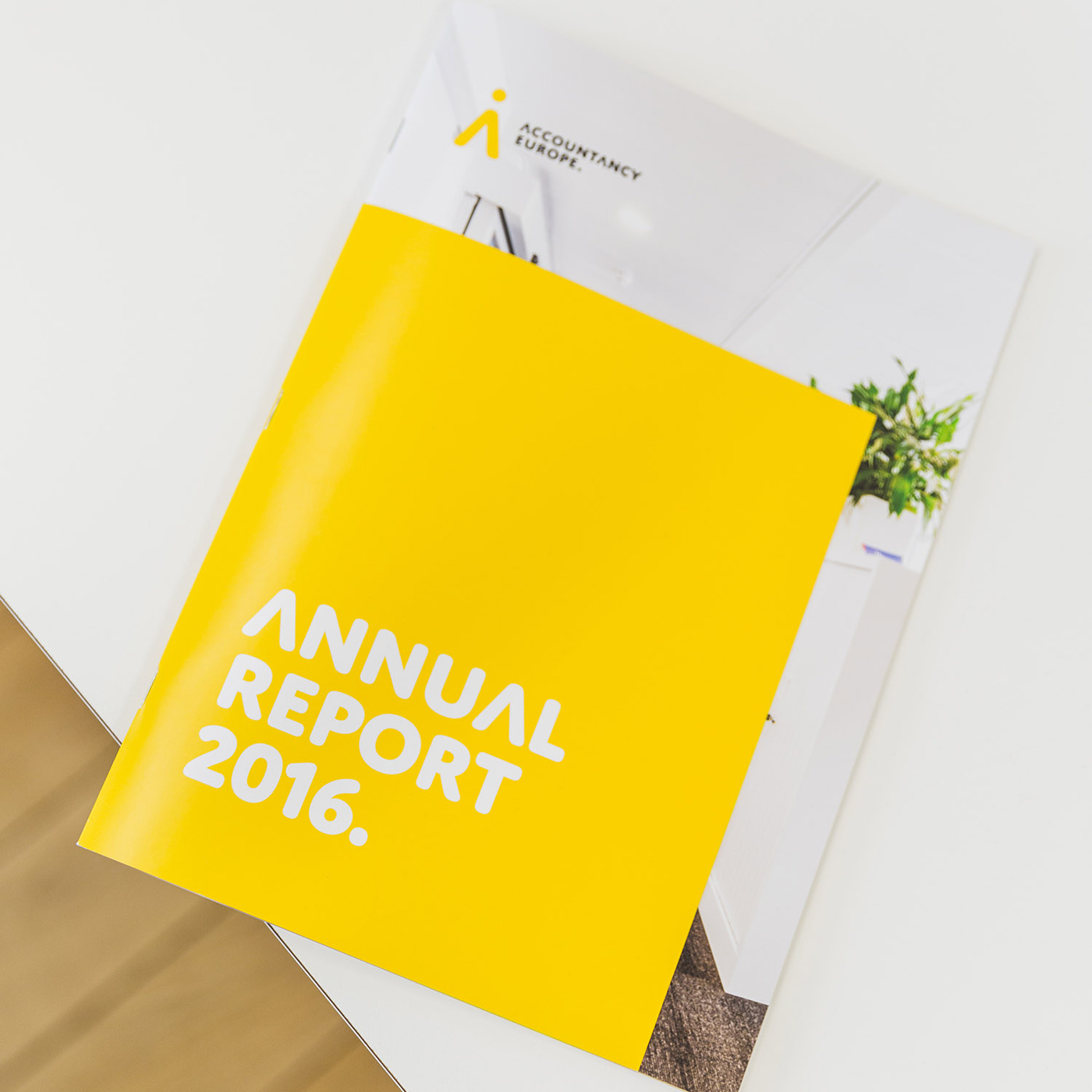 Accountancy Europe - Fonts In Use