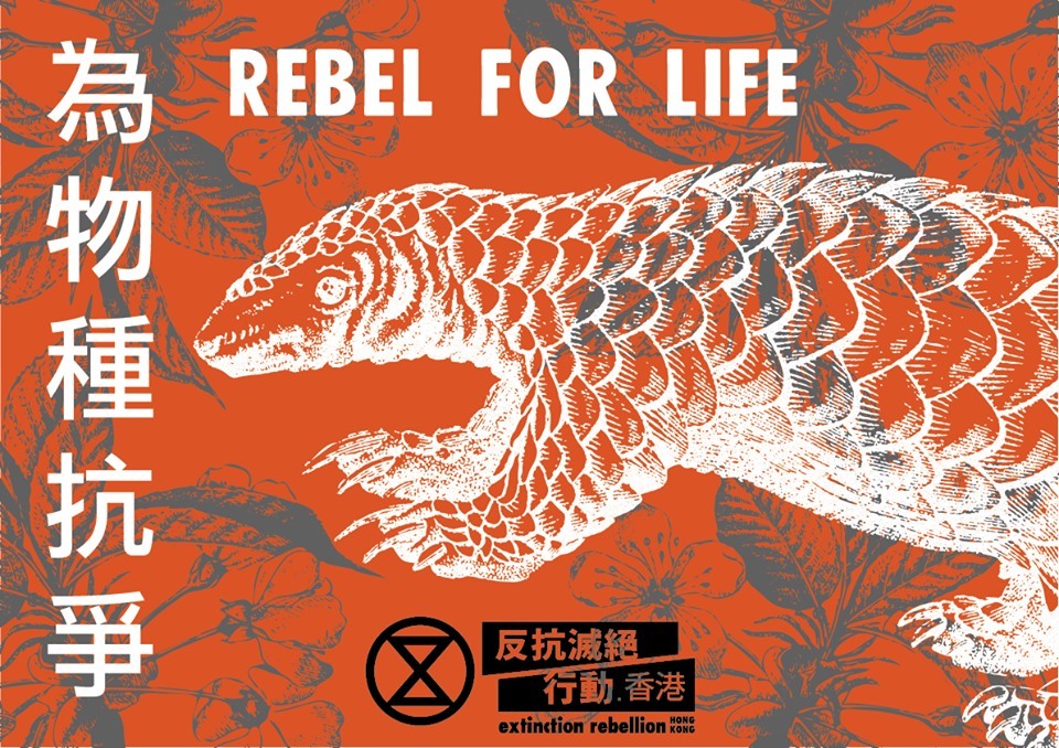 Extinction Rebellion - Fonts In Use